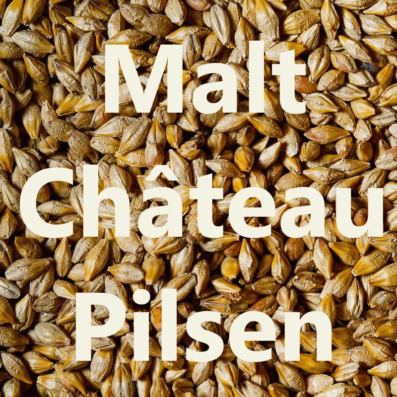 Malt Château Pilsen dès 5.00€ > Malt en grains